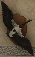 Magpie Goose | TheHunter: Call of the Wild Wiki | Fandom