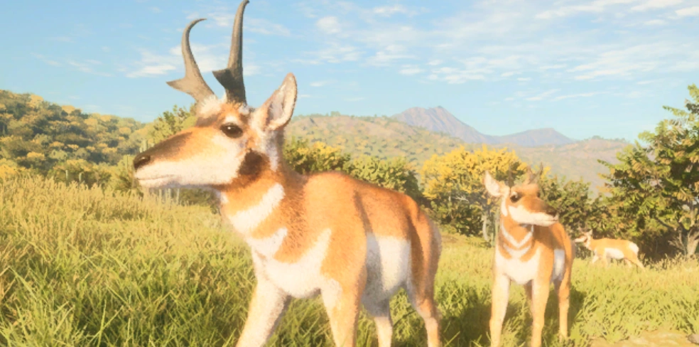 Pronghorn | TheHunter: Call of the Wild Wiki | Fandom