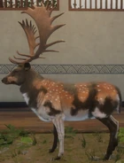 Fallow Deer | TheHunter: Call of the Wild Wiki | Fandom