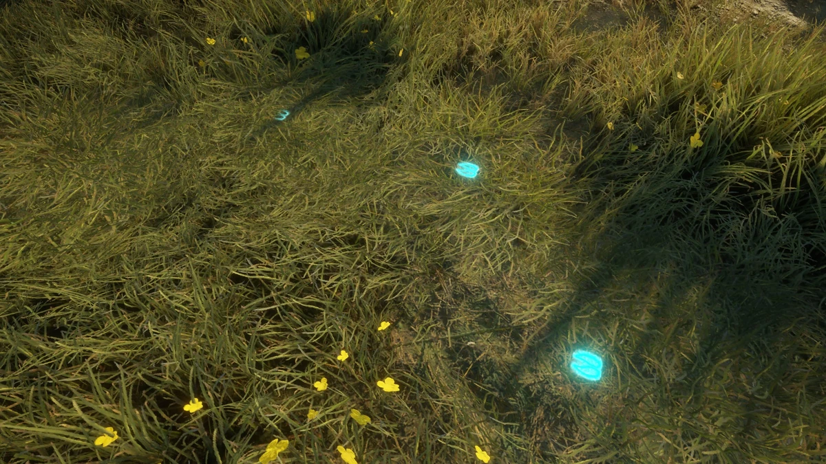 Tracks | TheHunter: Call of the Wild Wiki | Fandom