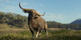 Banteng | TheHunter: Call of the Wild Wiki | Fandom