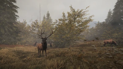 Facing the Wild 1 | TheHunter: Call of the Wild Wiki | Fandom