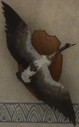 Magpie Goose | TheHunter: Call of the Wild Wiki | Fandom