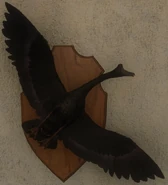 Magpie Goose | TheHunter: Call of the Wild Wiki | Fandom