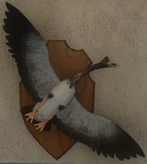 Magpie Goose | TheHunter: Call of the Wild Wiki | Fandom