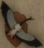 Magpie Goose | TheHunter: Call of the Wild Wiki | Fandom
