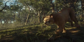 Puma | TheHunter: Call of the Wild Wiki | Fandom