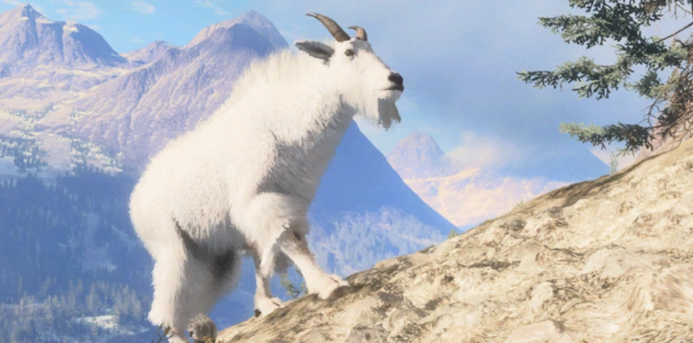 Mountain Goat | TheHunter: Call of the Wild Wiki | Fandom