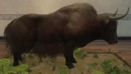 Wild Yak | TheHunter: Call of the Wild Wiki | Fandom
