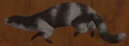 American Mink | TheHunter: Call of the Wild Wiki | Fandom