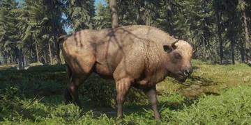 European Bison Hunting