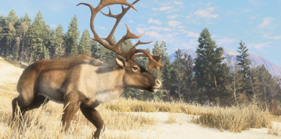 Woodland Caribou | TheHunter: Call of the Wild Wiki | Fandom