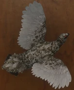 Rock Ptarmigan | TheHunter: Call of the Wild Wiki | Fandom