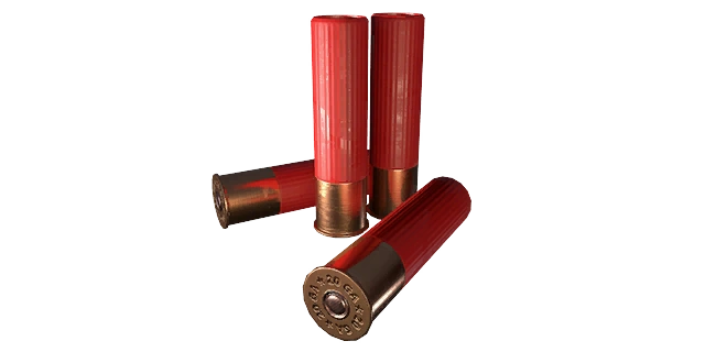 20 Gauge Shotgun Slugs