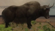 Wild Yak | TheHunter: Call of the Wild Wiki | Fandom