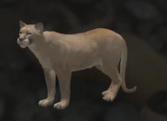 Puma | TheHunter: Call of the Wild Wiki | Fandom