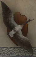 Magpie Goose | TheHunter: Call of the Wild Wiki | Fandom