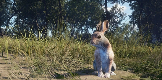 Woolly Hare | TheHunter: Call of the Wild Wiki | Fandom