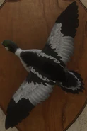 Goldeneye | TheHunter: Call of the Wild Wiki | Fandom