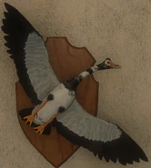 Magpie Goose | TheHunter: Call of the Wild Wiki | Fandom
