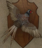 Ring-Necked Pheasant | TheHunter: Call of the Wild Wiki | Fandom