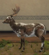 Fallow Deer | TheHunter: Call of the Wild Wiki | Fandom