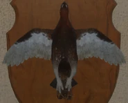 Red Grouse | TheHunter: Call of the Wild Wiki | Fandom