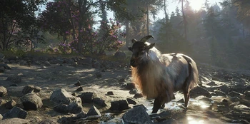 Tahr | TheHunter: Call of the Wild Wiki | Fandom