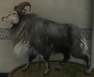 Tahr | TheHunter: Call of the Wild Wiki | Fandom