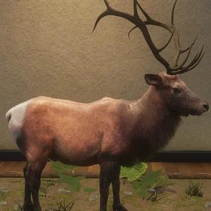 Discuss Everything About TheHunter: Call of the Wild Wiki | Fandom
