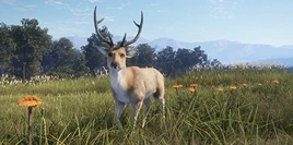 Barasingha | TheHunter: Call of the Wild Wiki | Fandom