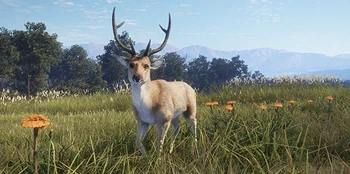 Barasingha | TheHunter: Call of the Wild Wiki | Fandom