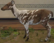 Barasingha | TheHunter: Call of the Wild Wiki | Fandom