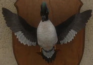 Goldeneye | TheHunter: Call of the Wild Wiki | Fandom
