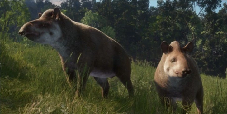 South American Tapir | TheHunter: Call of the Wild Wiki | Fandom