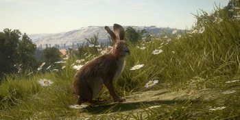European Hare | TheHunter: Call of the Wild Wiki | Fandom