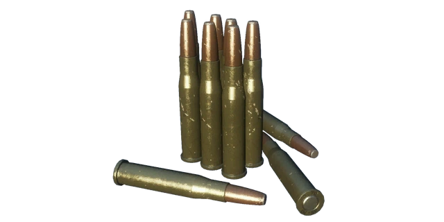 .45-70 Soft-Point Flat Nose Bullet | TheHunter: Call of the Wild Wiki ...