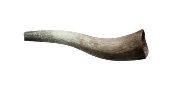 Red Deer Caller | TheHunter: Call of the Wild Wiki | Fandom