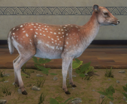Fallow Deer | TheHunter: Call of the Wild Wiki | Fandom
