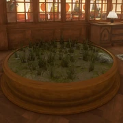 Trophy Plaques and Platforms | TheHunter: Call of the Wild Wiki | Fandom