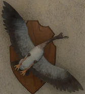 Magpie Goose | TheHunter: Call of the Wild Wiki | Fandom