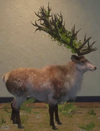 Red Deer | TheHunter: Call of the Wild Wiki | Fandom