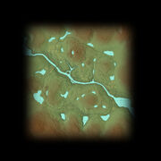 Interactive Maps | TheHunter: Call of the Wild Wiki | Fandom