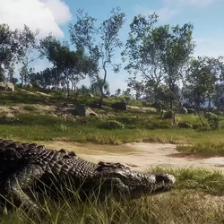 aggressive animals cotw