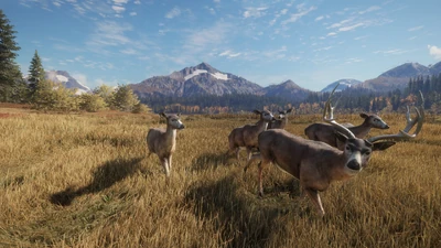 Facing the Wild 1 | TheHunter: Call of the Wild Wiki | Fandom