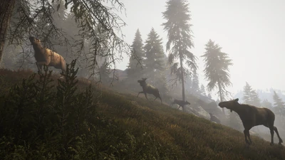 Facing the Wild 1 | TheHunter: Call of the Wild Wiki | Fandom