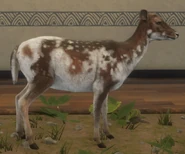 Fallow Deer | TheHunter: Call of the Wild Wiki | Fandom