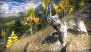 Grey Wolf | The Hunter Wikia | Fandom