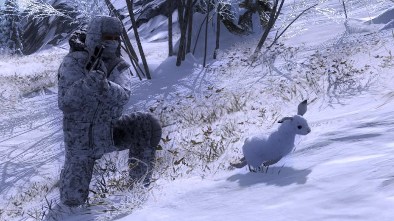 Hunting Tactics Snowshoe Hare | The Hunter Wikia | Fandom