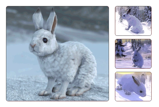 Snowshoe Hare | The Hunter Wikia | Fandom